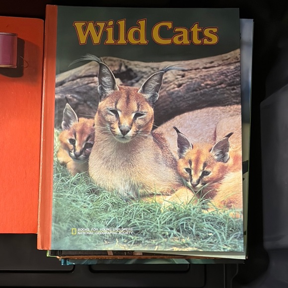 National Geographic | Other | National Geographic Wild Cats Book Orange ...